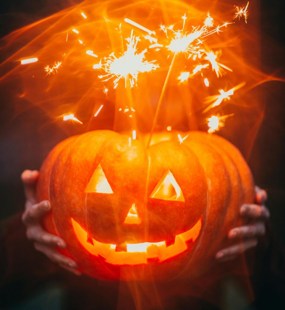 Frightful fun and festive delights on menu at organic estate in run up ...