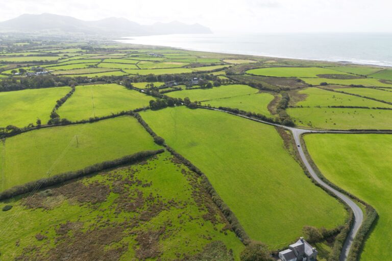 Rhug Estate to reshape portfolio – creating new farming opportunities ...